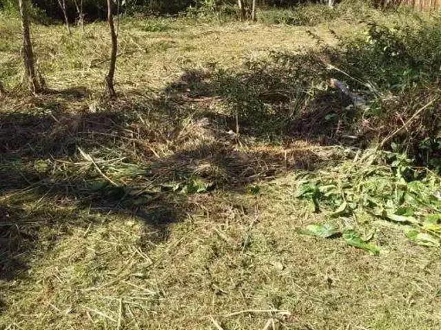 Terreno / Lote para Venda em Caraguatatuba/SP Massaguaçu