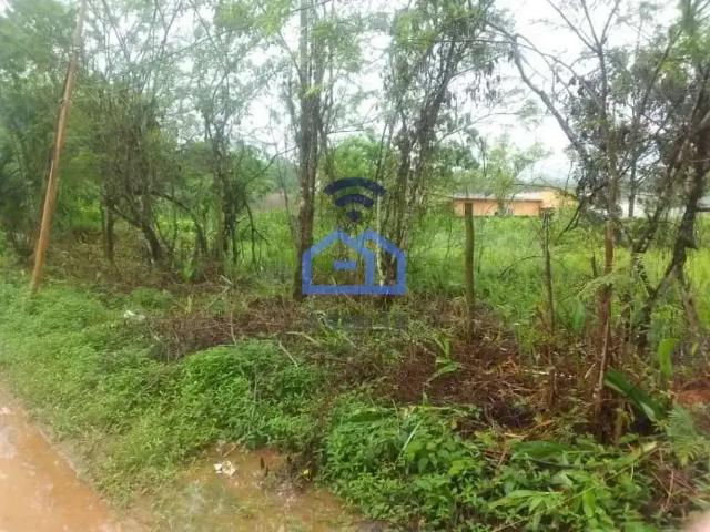 Terreno / Lote para Venda em Caraguatatuba/SP Massaguaçu