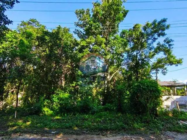 Terreno / Lote para Venda em Caraguatatuba/SP Massaguaçu