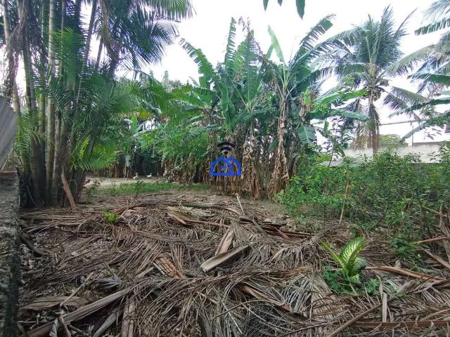 Terreno / Lote para Venda em Caraguatatuba/SP Pontal de Santa Marina