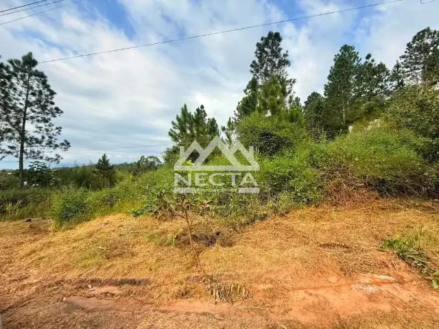 Terreno / Lote para Venda em Caraguatatuba/SP Portal da Fazendinha