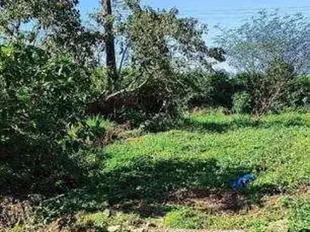 Terreno / Lote para Venda em Caraguatatuba/SP Pegorelli