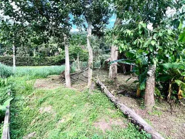 Terreno / Lote para Venda em Caraguatatuba/SP Praia da Mococa