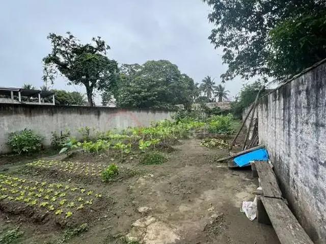 Terreno / Lote para Venda em Caraguatatuba/SP Praia das Palmeiras