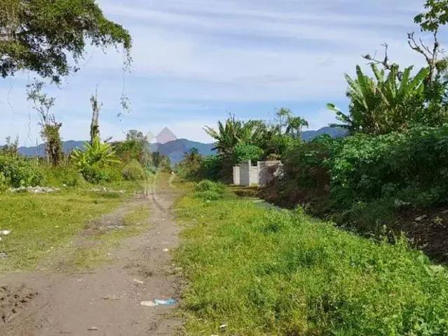 Terreno / Lote para Venda em Caraguatatuba/SP Praia das Palmeiras