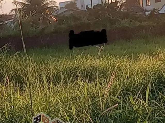 Terreno / Lote para Venda em Caraguatatuba/SP Praia das Palmeiras