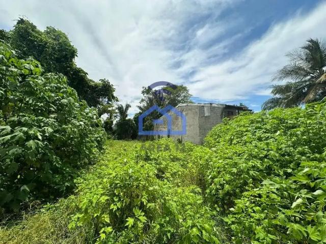 Terreno / Lote para Venda em Caraguatatuba/SP Praia das Palmeiras