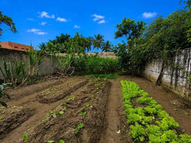 Terreno / Lote para Venda em Caraguatatuba/SP Praia das Palmeiras
