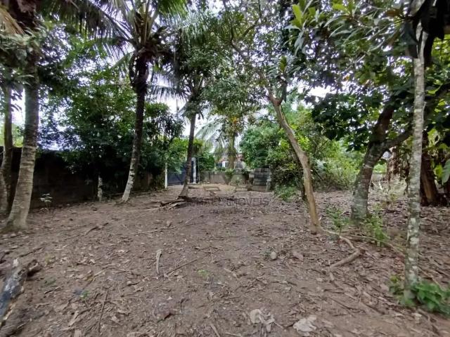 Terreno / Lote para Venda em Caraguatatuba/SP Praia das Palmeiras