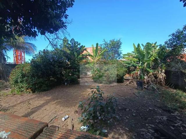 Terreno / Lote para Venda em Caraguatatuba/SP Praia das Palmeiras