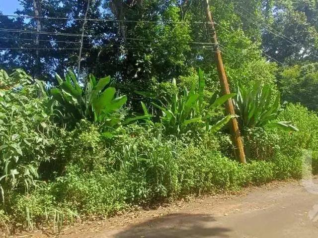 Terreno / Lote para Venda em Caraguatatuba/SP Tabatinga