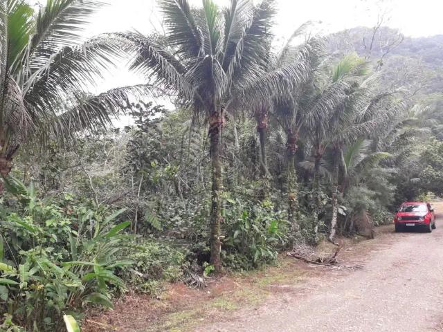 Terreno / Lote para Venda em Caraguatatuba/SP Verde Mar