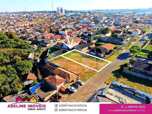Terreno / Lote para Venda em Carambeí/PR Bela Vista I