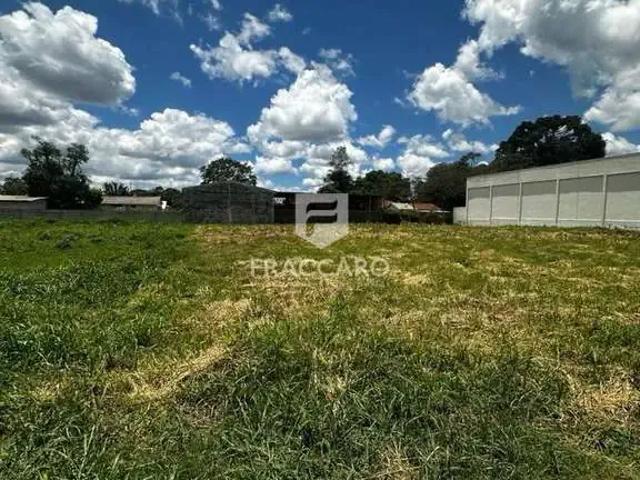 Terreno / Lote para Venda em Carambeí/PR Centro