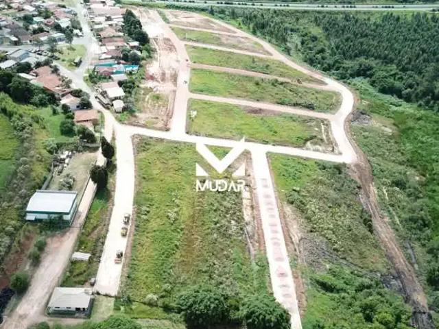 Terreno / Lote para Venda em Carambeí/PR Centro