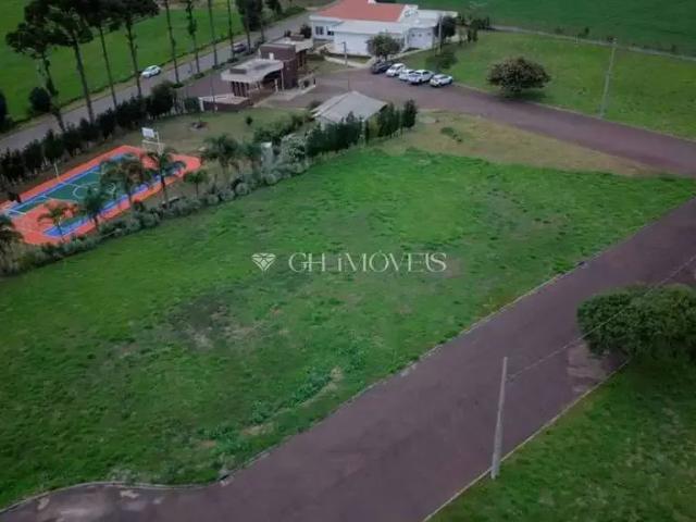 Terreno / Lote para Venda em Carambeí/PR Centro
