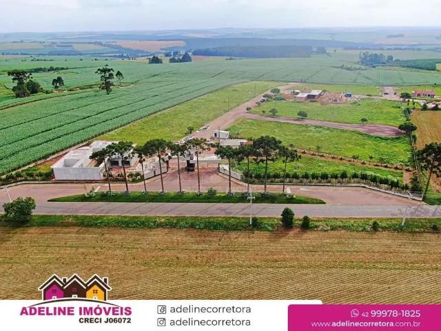 Terreno / Lote para Venda em Carambeí/PR Colonia