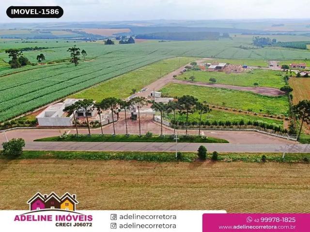 Terreno / Lote para Venda em Carambeí/PR Colonia