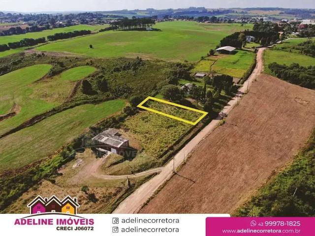Terreno / Lote para Venda em Carambeí/PR Colonia