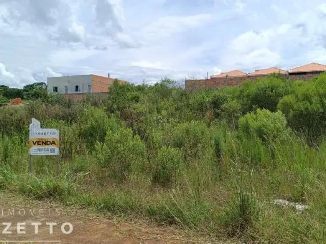 Terreno / Lote para Venda em Carambeí/PR Imigrantes