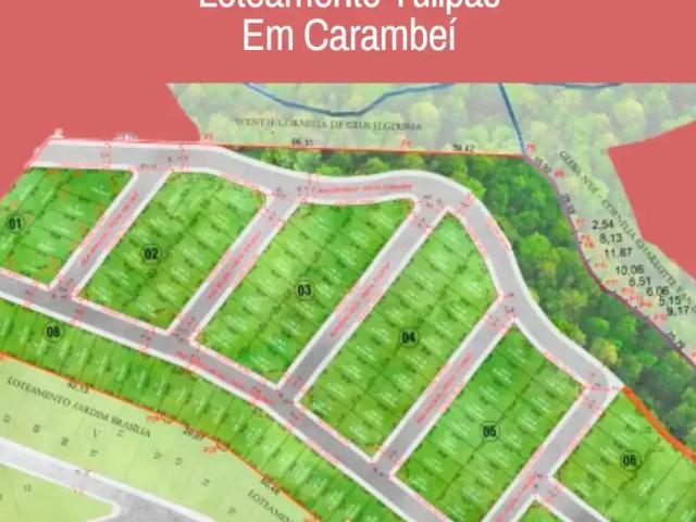 Terreno / Lote para Venda em Carambeí/PR Jardim Brasília