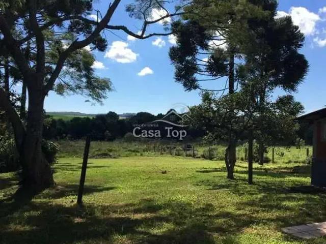 Terreno / Lote para Venda em Carambeí/PR Jardim Brasília
