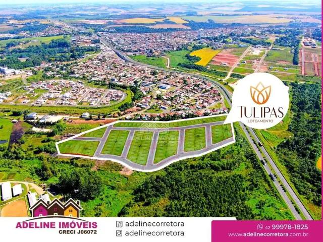 Terreno / Lote para Venda em Carambeí/PR Jardim Brasília
