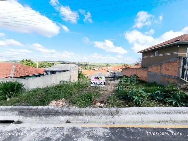 Terreno / Lote para Venda em Carambeí/PR Jardim Eldorado