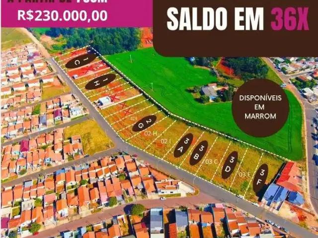 Terreno / Lote para Venda em Carambeí/PR Vila Afcb