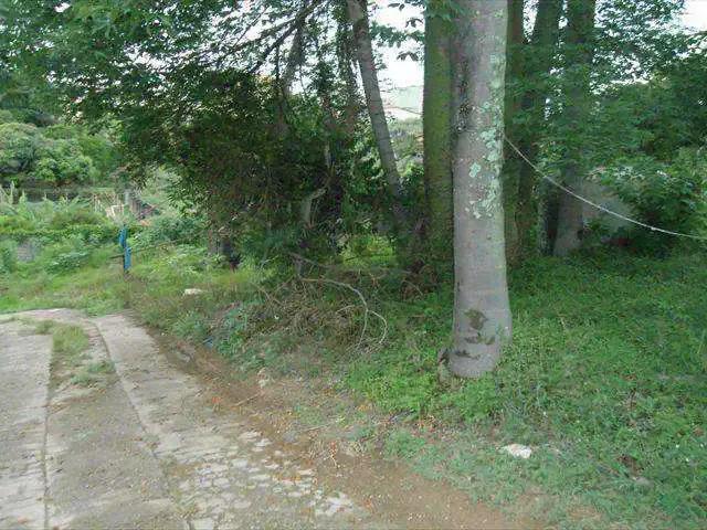 Terreno / Lote para Venda em Carapicuíba/SP Jardim Novo Horizonte