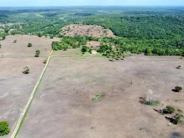 Terreno / Lote para Venda em Cardeal da Silva/BA Centro
