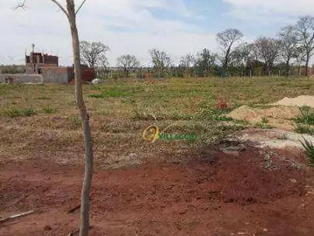 Terreno / Lote para Venda em Cardoso/SP Centro
