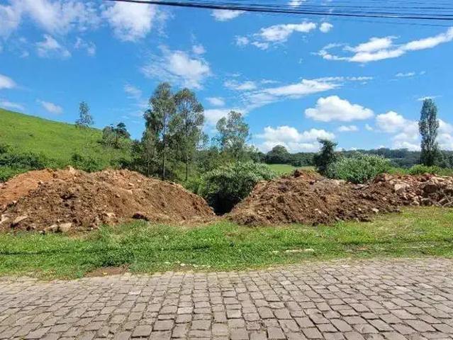 Terreno / Lote para Venda em Carlos Barbosa/RS Aparecida