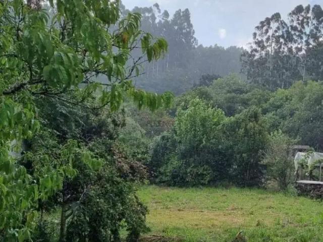 Terreno / Lote para Venda em Carlos Barbosa/RS Arcoverde