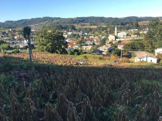 Terreno / Lote para Venda em Carlos Barbosa/RS Arcoverde