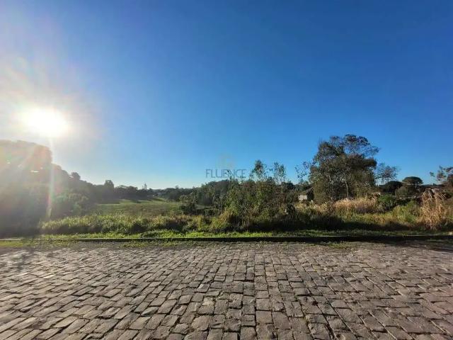 Terreno / Lote para Venda em Carlos Barbosa/RS São Paulo