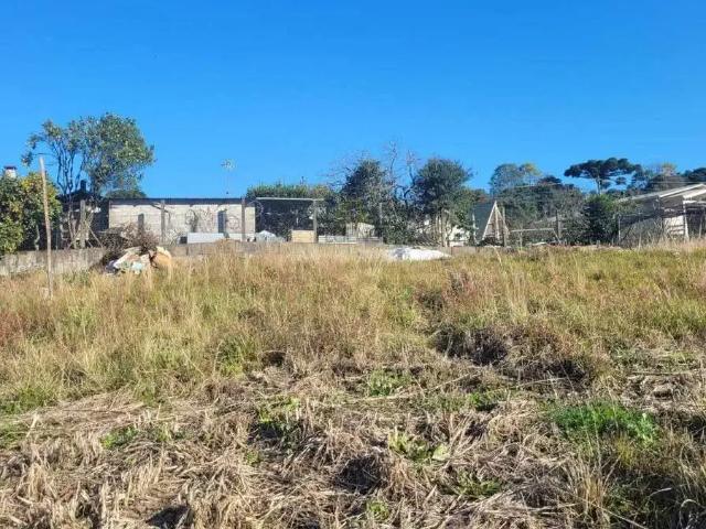 Terreno / Lote para Venda em Carlos Barbosa/RS São Paulo