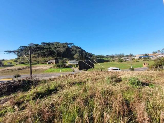 Terreno / Lote para Venda em Carlos Barbosa/RS São Paulo