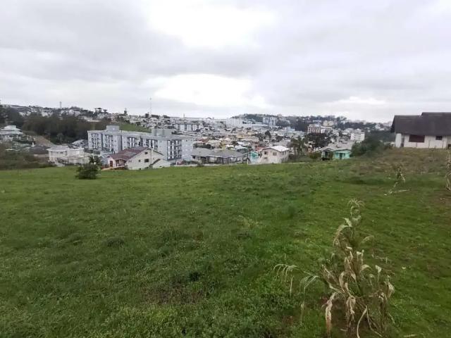 Terreno / Lote para Venda em Carlos Barbosa/RS Triângulo