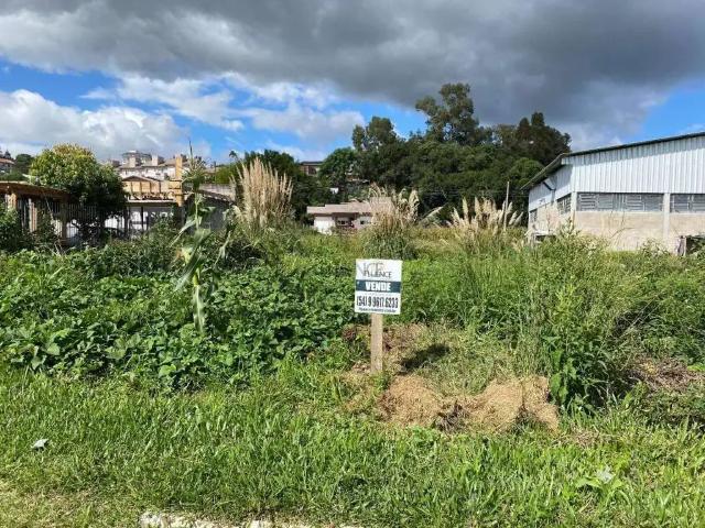 Terreno / Lote para Venda em Carlos Barbosa/RS Vila Nova