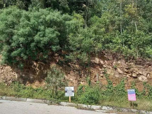 Terreno / Lote para Venda em Carlos Barbosa/RS Vitória