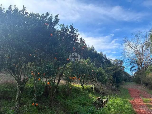 Terreno / Lote para Venda em Carlos Barbosa/RS Zona Rural