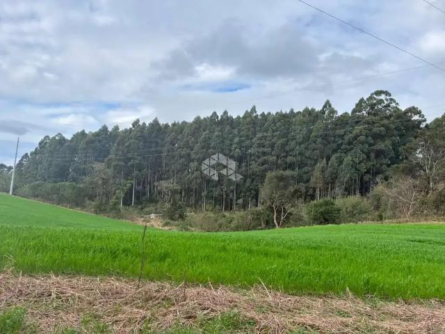 Terreno / Lote para Venda em Carlos Barbosa/RS Zona Rural