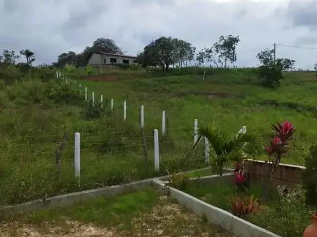 Terreno / Lote para Venda em Carpina/PE Bairro Novo