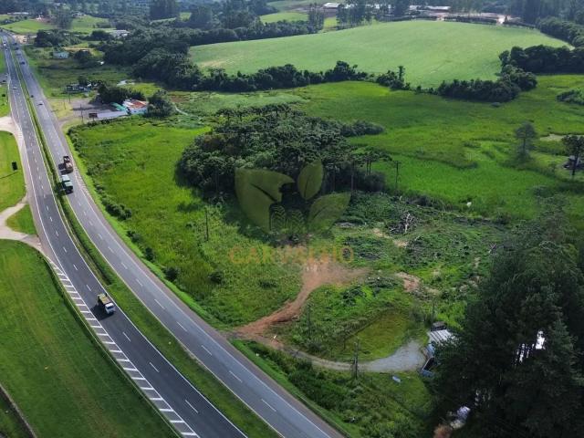 Terreno / Lote para Venda em Castro/PR Jardim Samambaia