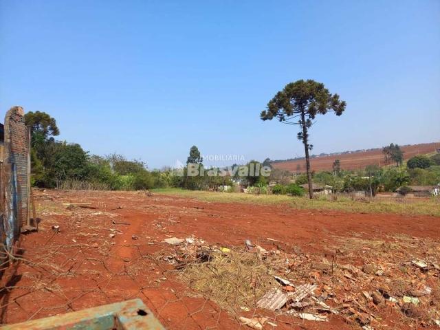 Terreno / Lote para Venda em Cascavel/PR Morumbi