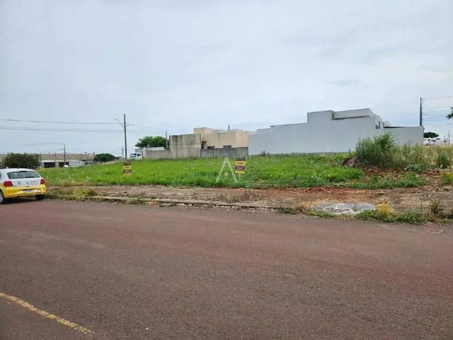 Terreno / Lote para Venda em Cascavel/PR Morumbi