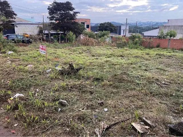 Terreno / Lote para Venda em Cascavel/PR Morumbi