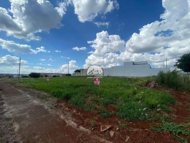 Terreno / Lote para Venda em Cascavel/PR Morumbi