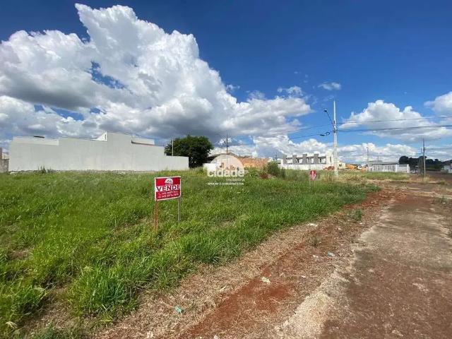 Terreno / Lote para Venda em Cascavel/PR Morumbi